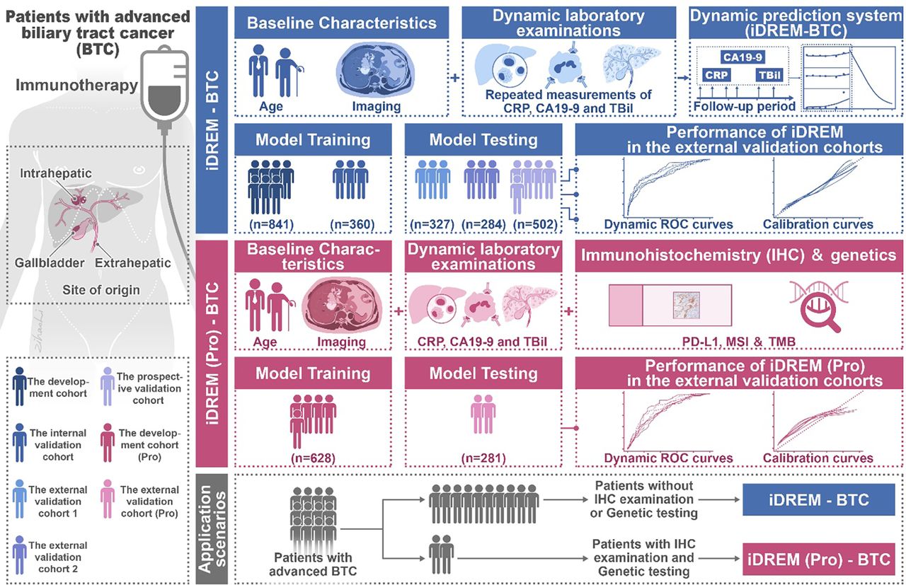 626 Real-time multidimensional prognostic model for immuno-chemotherapy ...