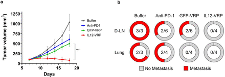 711 Alphavirus replicon particles expressing IL-12 reprogram tumor ...