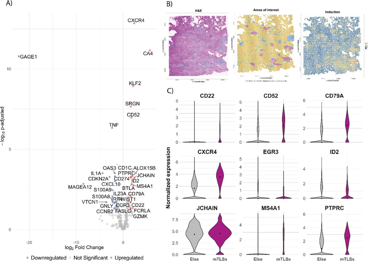734 Tertiary lymphoid structures as hallmarks of response to ...