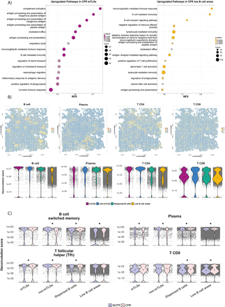 734 Tertiary lymphoid structures as hallmarks of response to ...