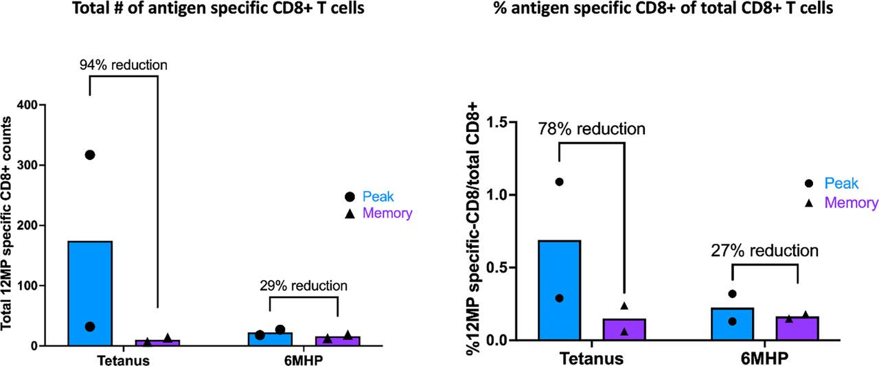 838 Preservation of vaccine-induced CD8+ memory T cells by melanoma ...