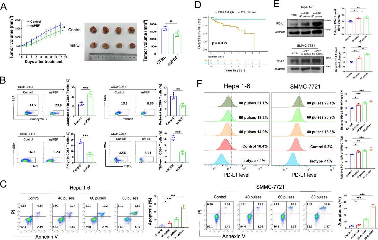 Oncolytic peptide LTX-315 targets PD-L1 to improve antitumor immune ...