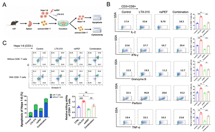 Oncolytic peptide LTX-315 targets PD-L1 to improve antitumor immune ...