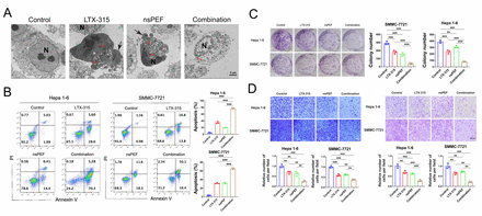 Oncolytic peptide LTX-315 targets PD-L1 to improve antitumor immune ...
