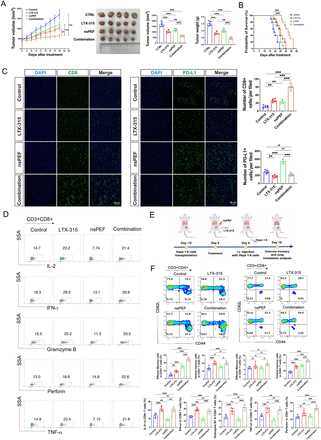 Oncolytic peptide LTX-315 targets PD-L1 to improve antitumor immune ...