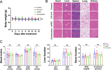 Oncolytic peptide LTX-315 targets PD-L1 to improve antitumor immune ...