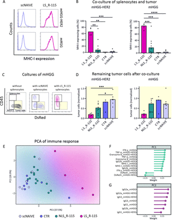 Therapeutic vaccination for glioblastoma elicited by retargeted ...