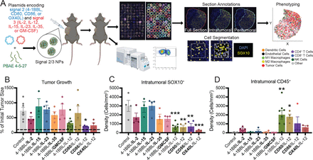 Reprogramming the melanoma tumor immune microenvironment via ...