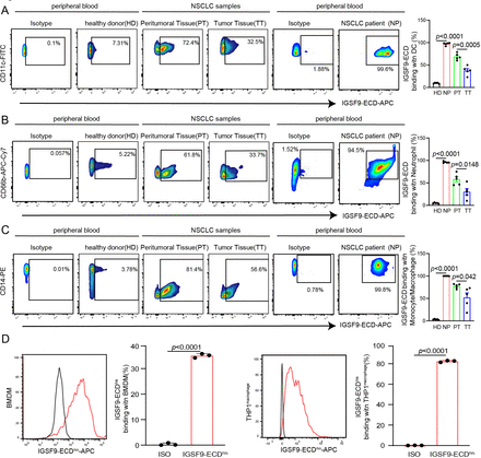 Tumor-associated macrophages educated by IGSF9 exhibit a senescence ...