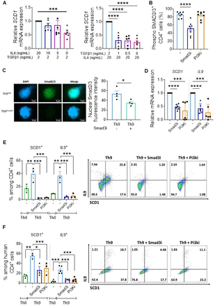 Stearoyl-CoA desaturase-1 controls the differentiation and antitumoral ...