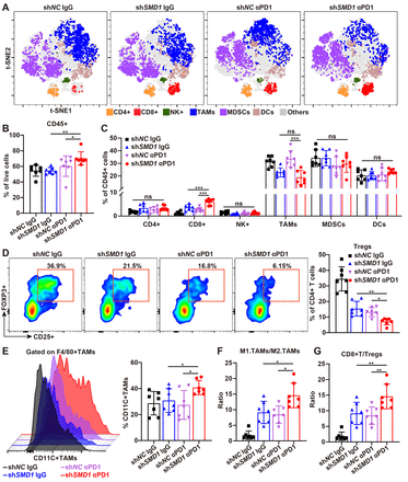 SAMHD1 drives immunosuppression in non-small cell lung cancer by ...
