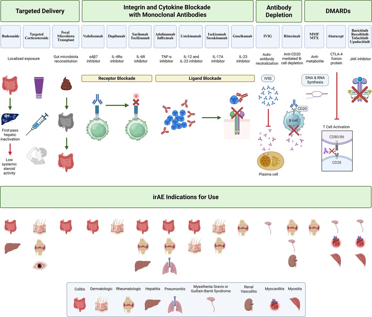 Steroid-sparing strategies for managing immune-related adverse events ...