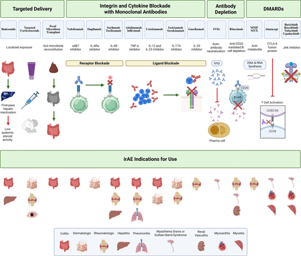 Steroid-sparing strategies for managing immune-related adverse events ...