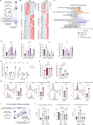 Targeting AKR1B1 reprograms tumor-associated macrophages to enhance ...