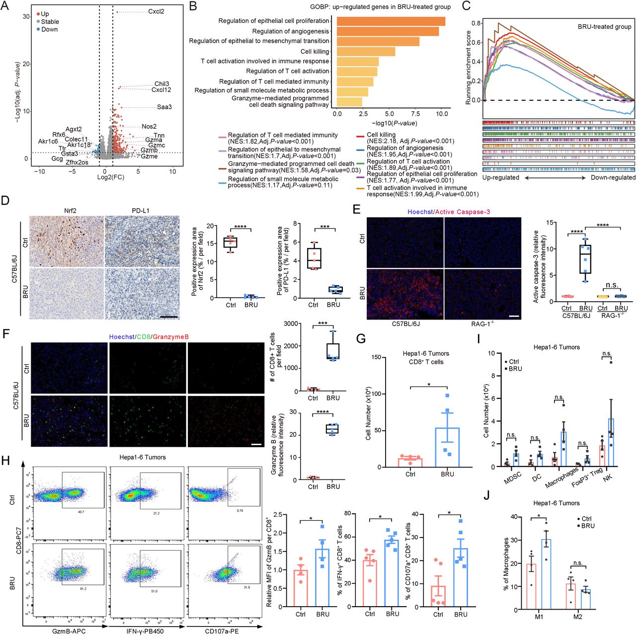Targeted inhibition of Nrf2 potentiates antitumor immunity and enhances ...