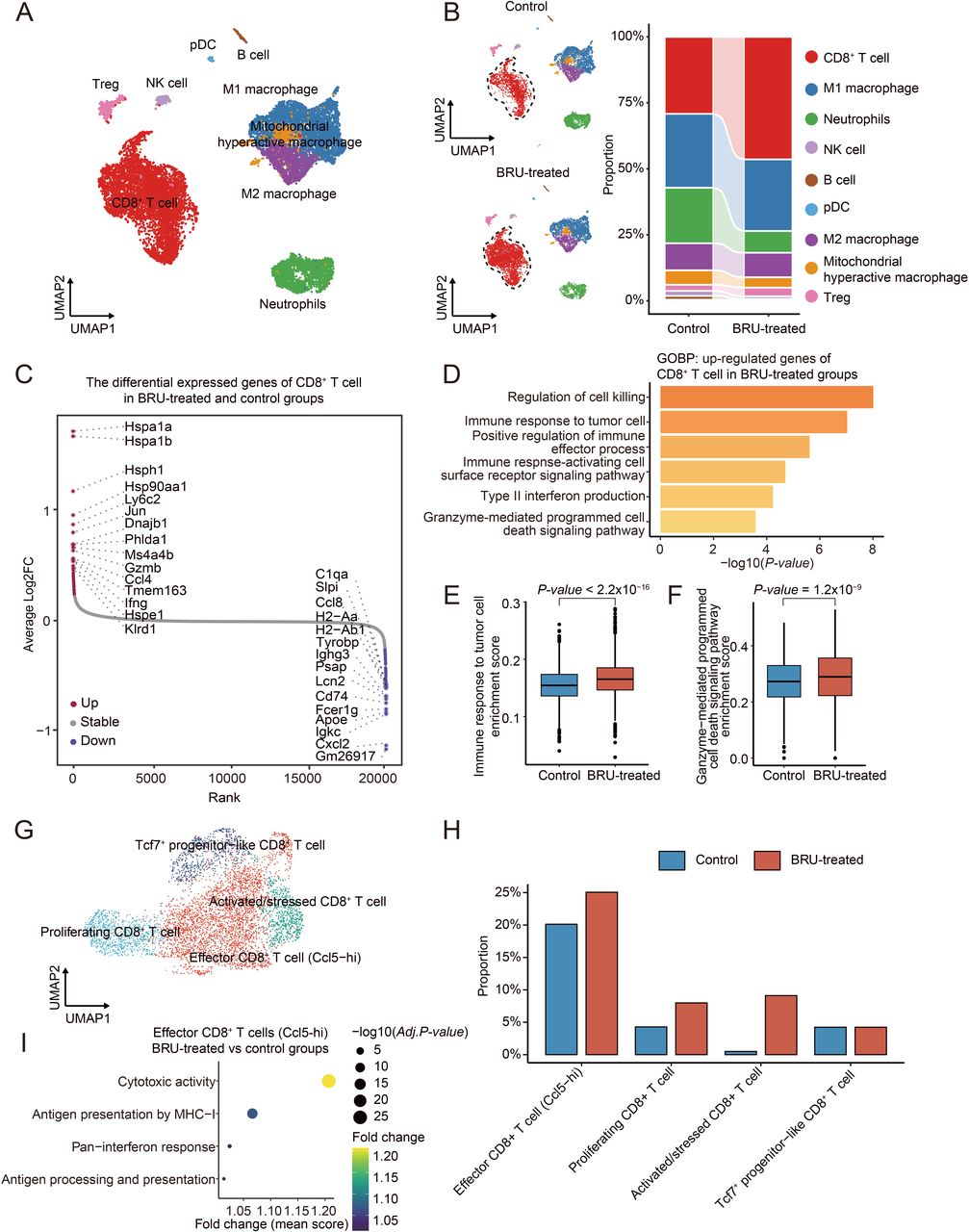 Targeted inhibition of Nrf2 potentiates antitumor immunity and enhances ...