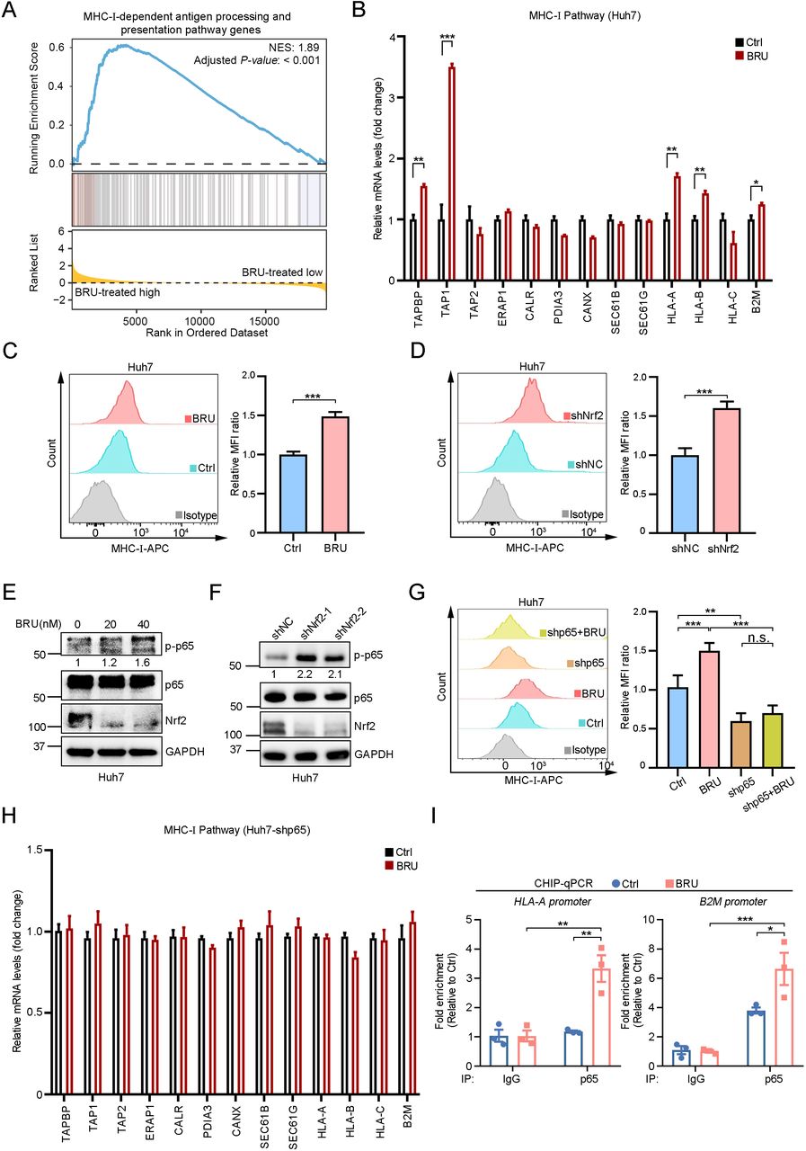 Targeted inhibition of Nrf2 potentiates antitumor immunity and enhances ...