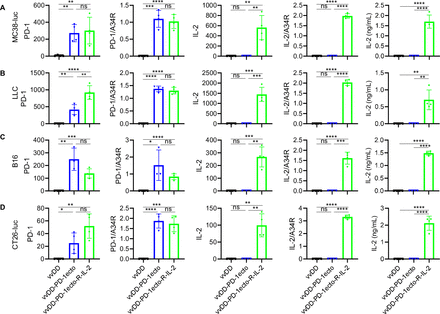 Intratumoral PD-1-directed IL-2 expression via oncolytic vaccinia virus ...