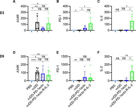 Intratumoral PD-1-directed IL-2 expression via oncolytic vaccinia virus ...