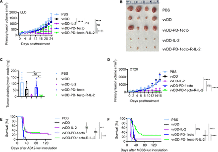 Intratumoral PD-1-directed IL-2 expression via oncolytic vaccinia virus ...